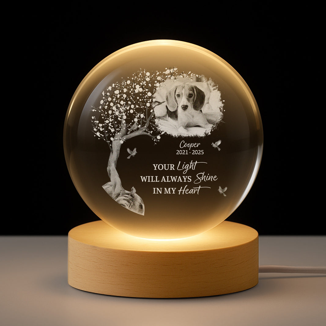 Crystal Ball Lamp with Photo - Personalized Pet Memorial Gifts ...